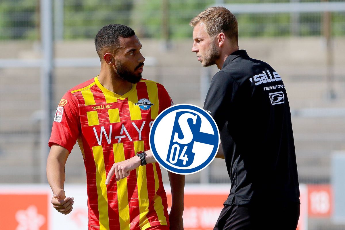 FC Schalke 04 macht es offiziell: Schnelles Wiedersehen mit Ex-S04-Star ... FC Schalke 04 macht es offiziell: Schnelles Wiedersehen mit Ex-S04-Star ...